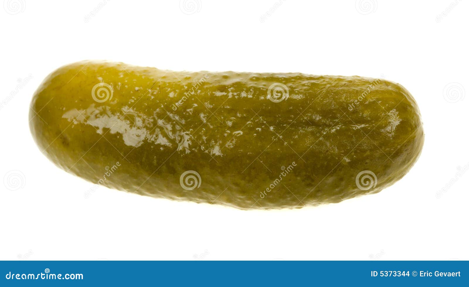 Pepinillo aislado foto de archivo. Imagen de pepino, fresco - 5373344