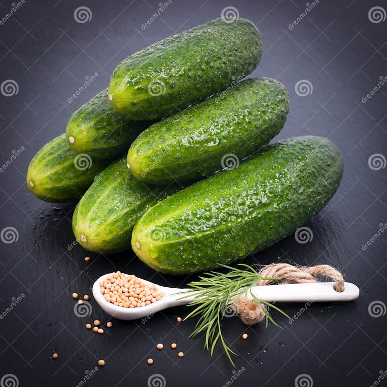 Pepinillo fresco foto de archivo. Imagen de tradicional - 30485772