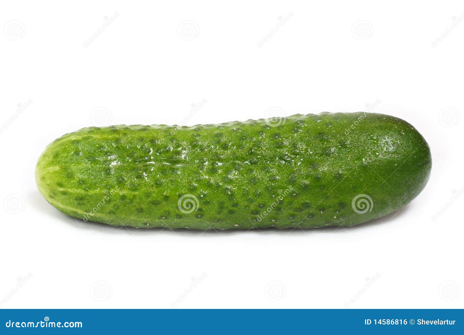 Pepino foto de archivo. Imagen de frescura, almuerzo - 14586816