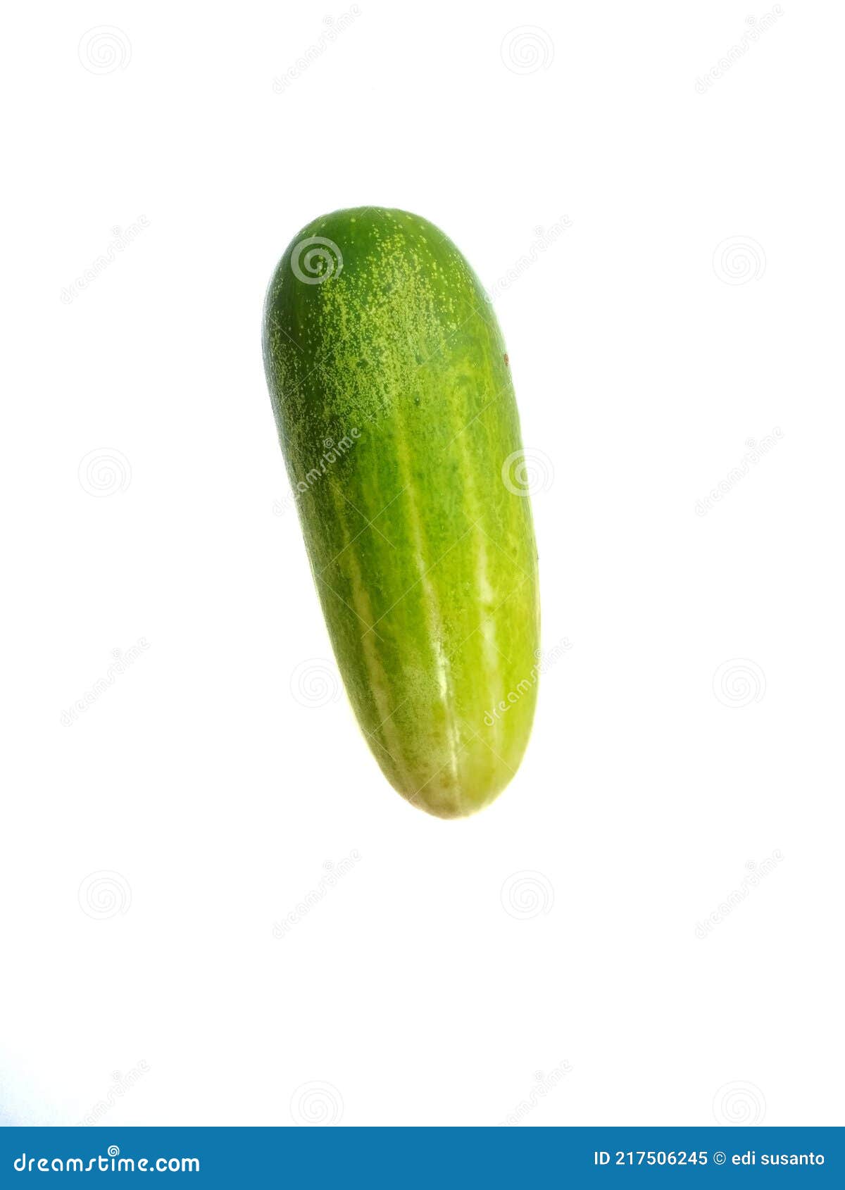 Pepino Blanco Aislado. Pepino Uno Aislado Blanco Imagen de archivo ...