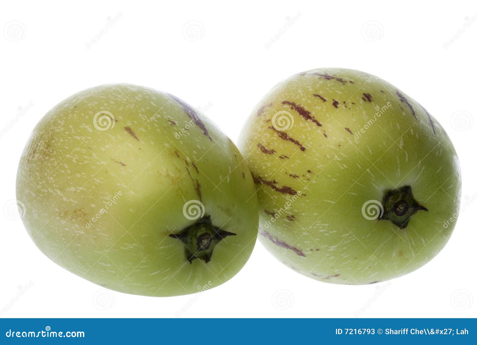 Pepino Dulce (Melon Pears) Isolated Stock Image - Image of muricatum ...