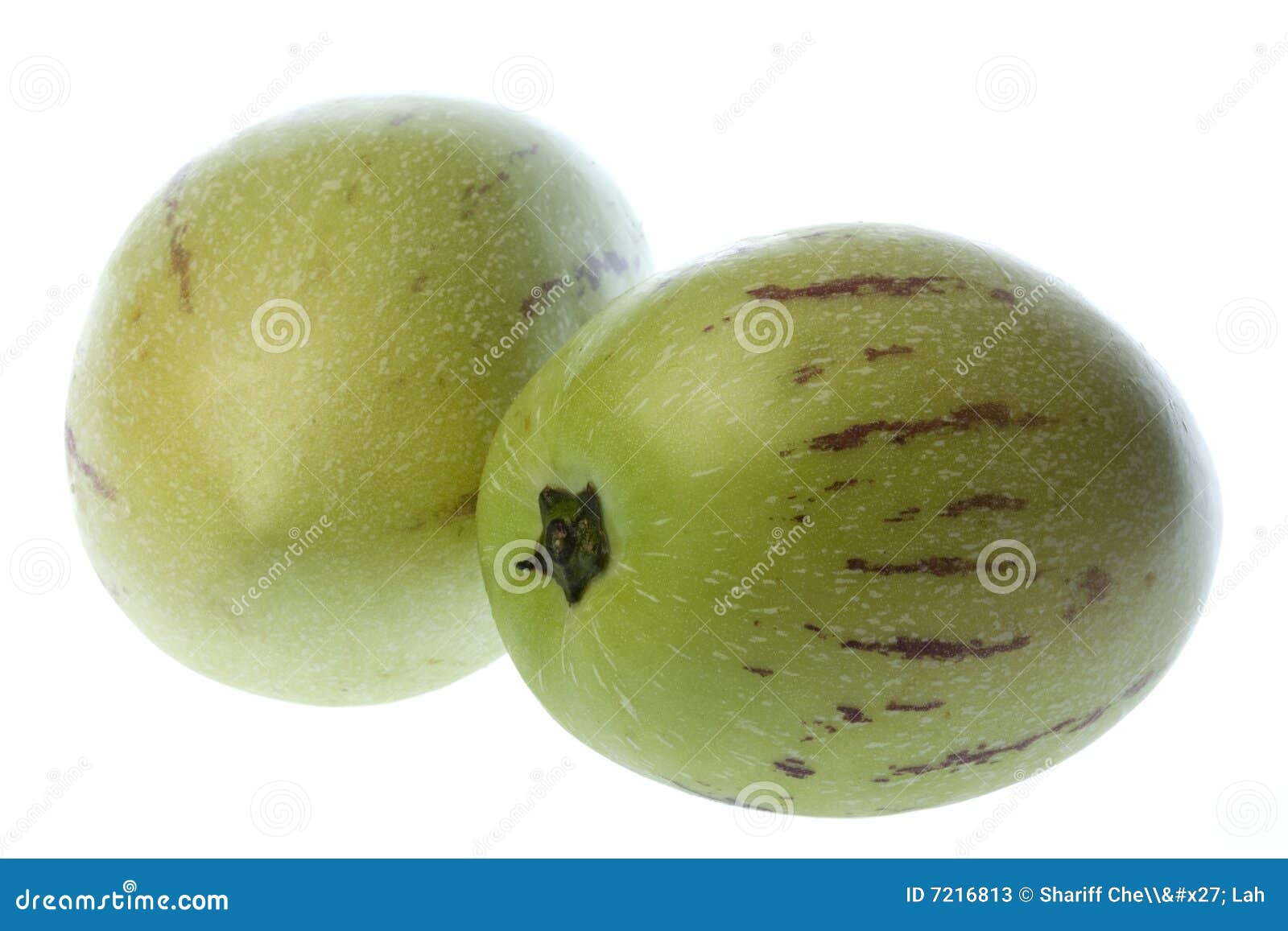 Pepino Dulce (Melon Pears) Isolated Stock Image - Image of exotic, food ...