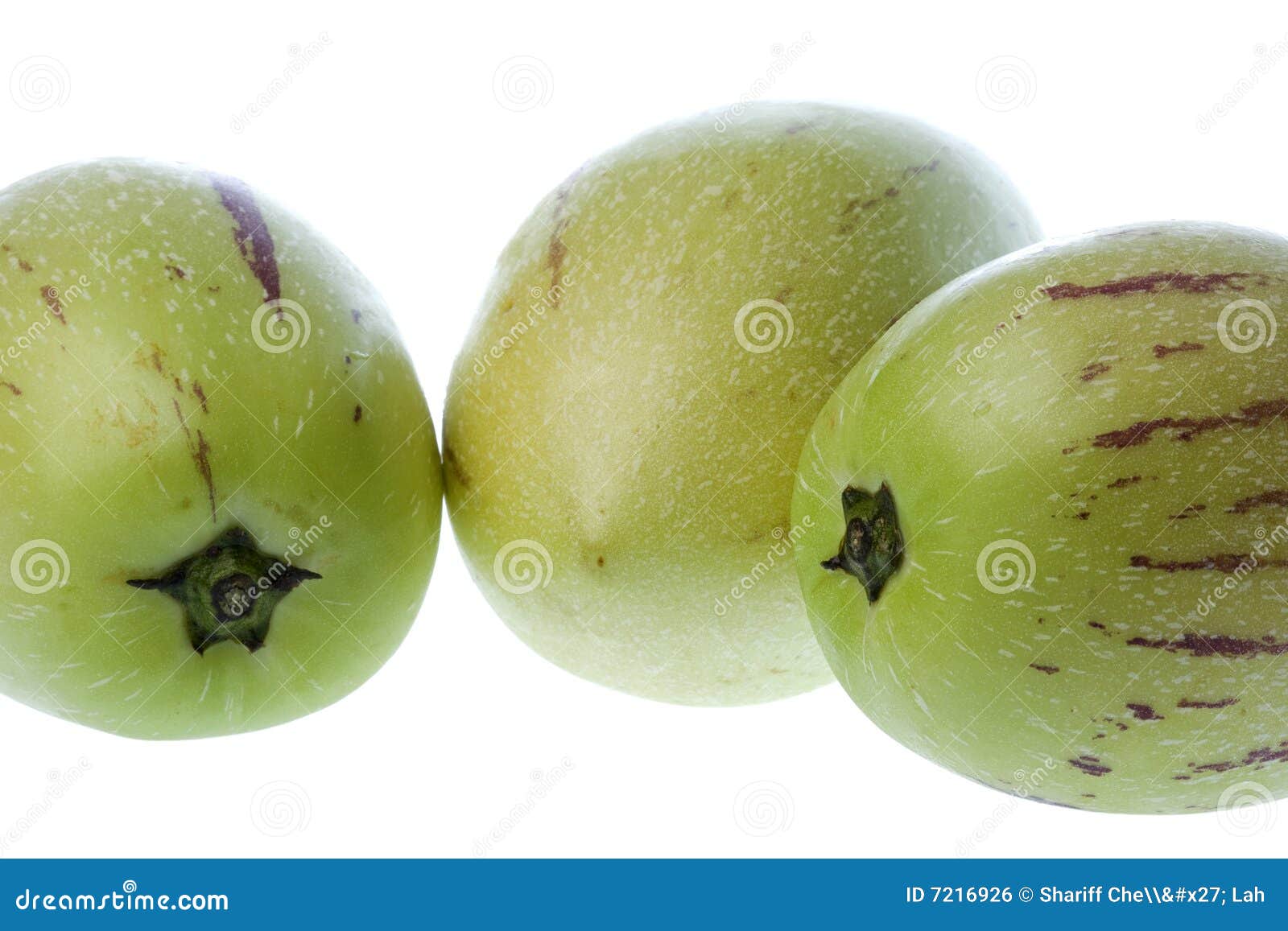 Pepino Dulce (Melon Pears) Isolated Stock Photo - Image of closeup ...