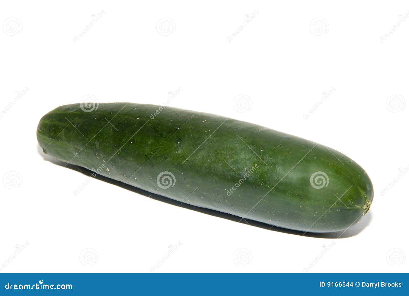 Pepino entero en blanco foto de archivo. Imagen de blanco - 9166544