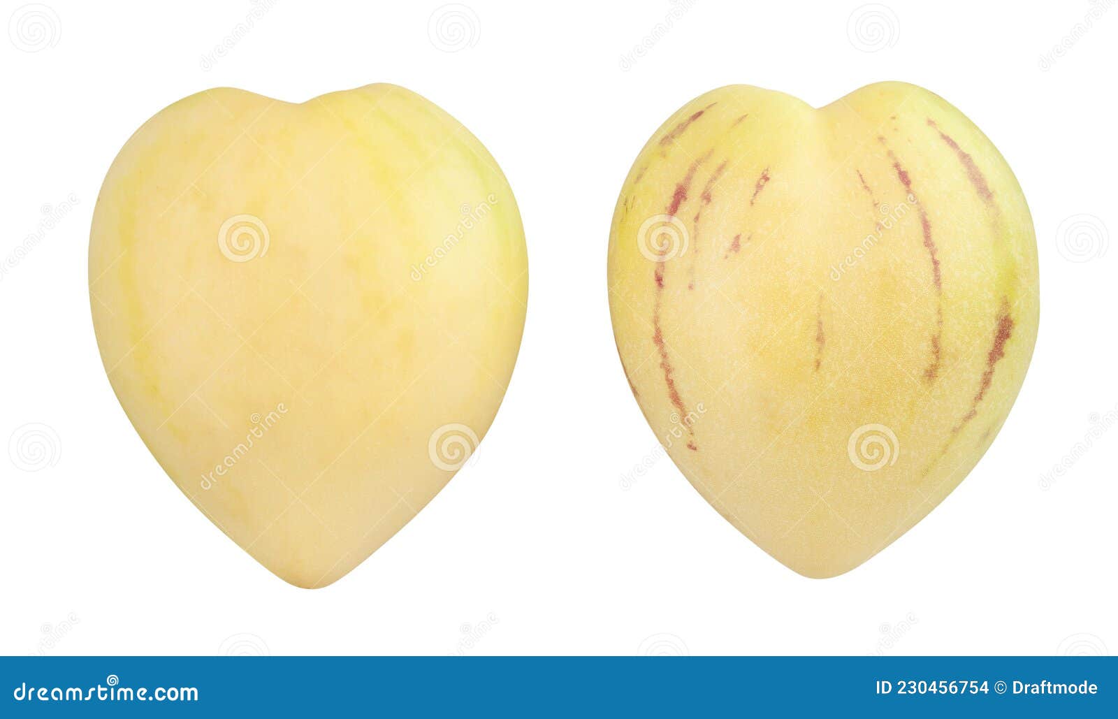 Pepino stock photo. Image of side, group, fruit, ripe - 230456754