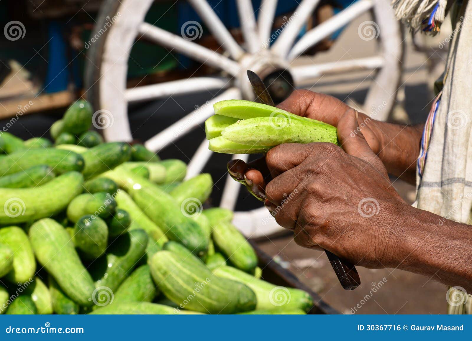 Pepino verde de la India foto de archivo. Imagen de jugoso - 30367716