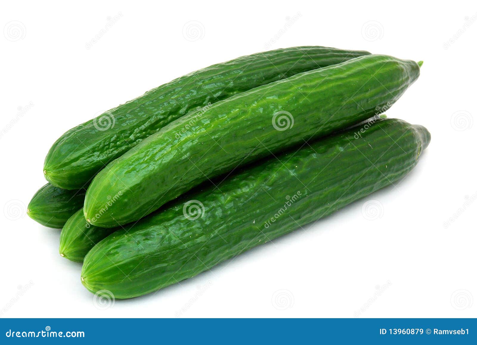 Pepino verde fresco imagen de archivo. Imagen de crudo - 13960879