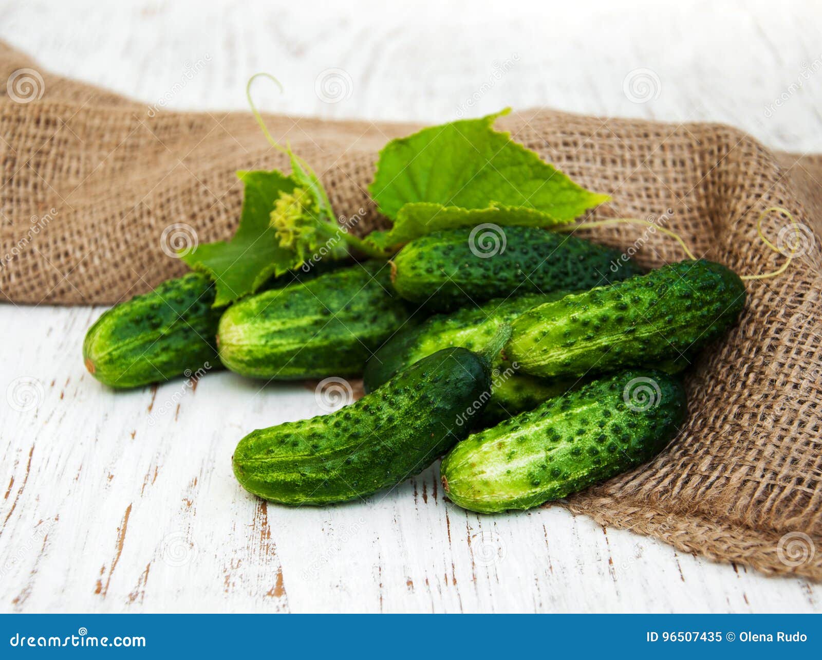 Pepinos frescos imagen de archivo. Imagen de madera, hoja - 96507435