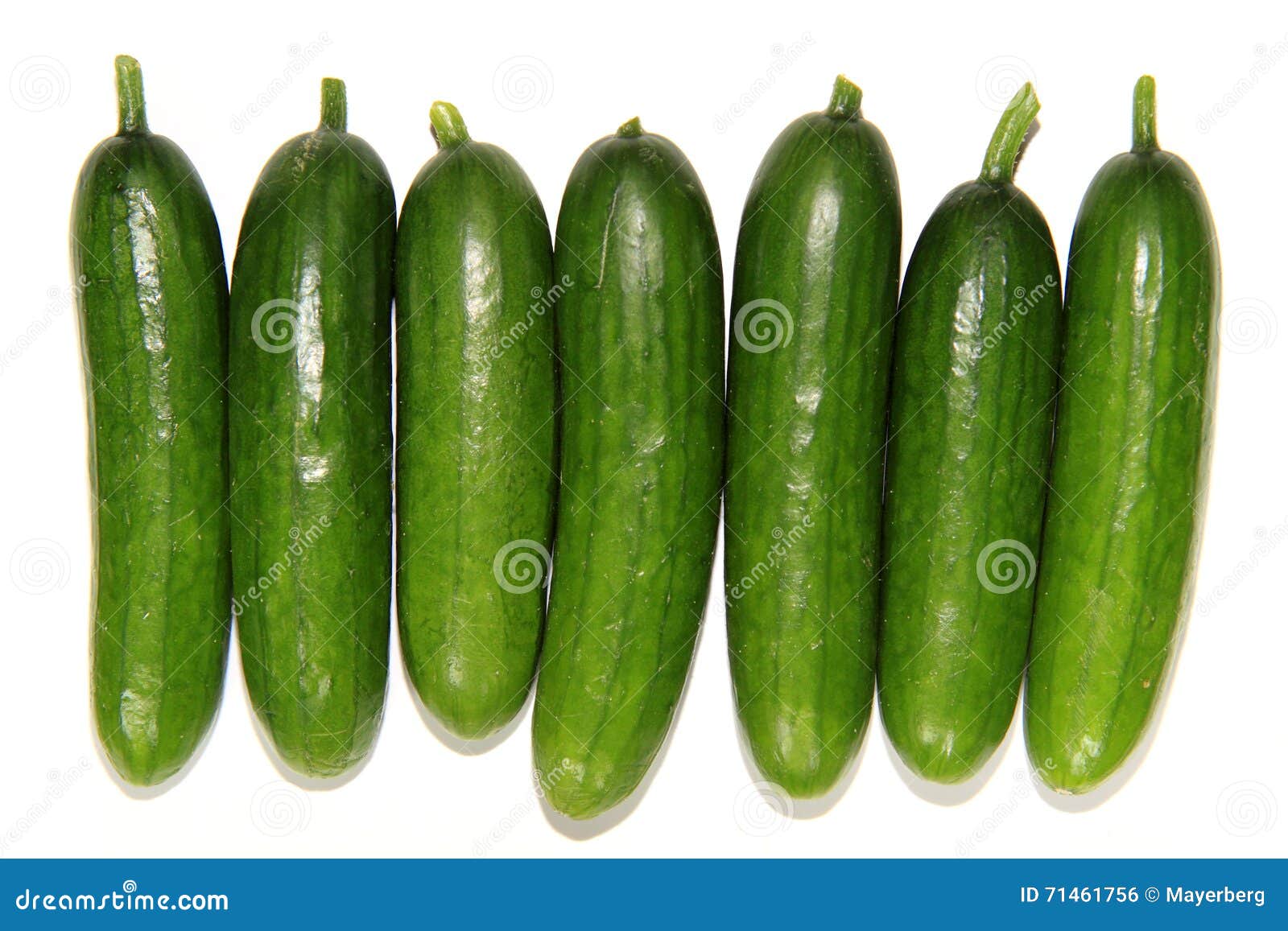 Pepinos y pepinillos foto de archivo. Imagen de fondo - 71461756