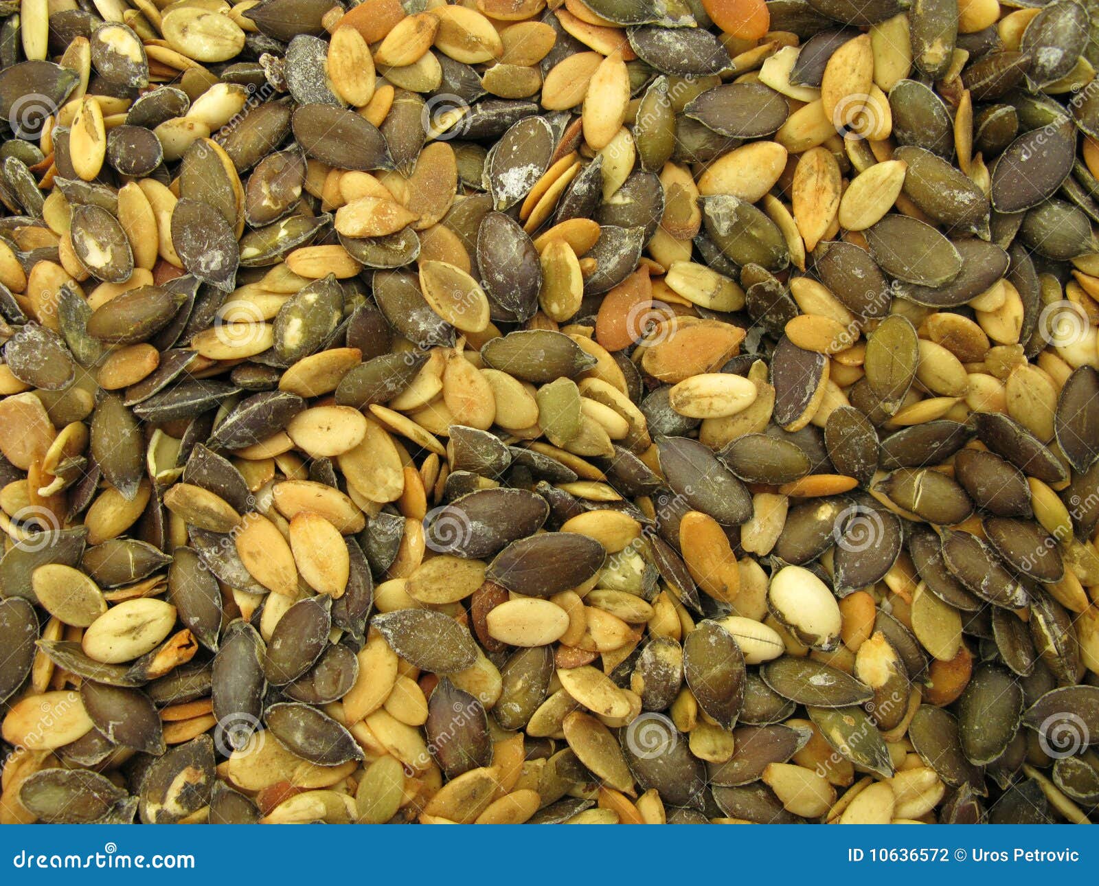 Pepita seeds stock photo. Image of curcubita, mexican - 10636572