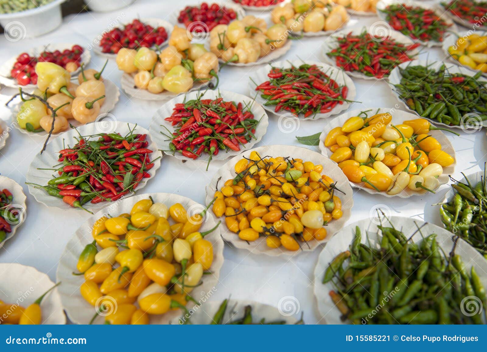 Pepper stock image. Image of tray, market, vegetable - 15585221