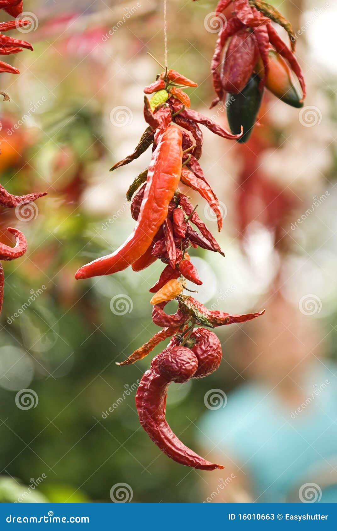Pepper stock image. Image of healthy, cuisine, produce - 16010663