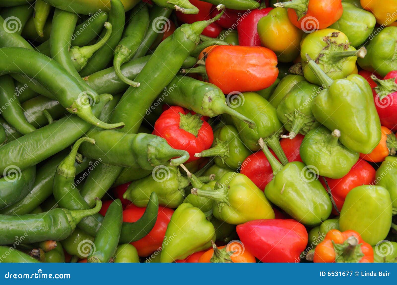 Pepper assortment stock image. Image of organic, chilly - 6531677