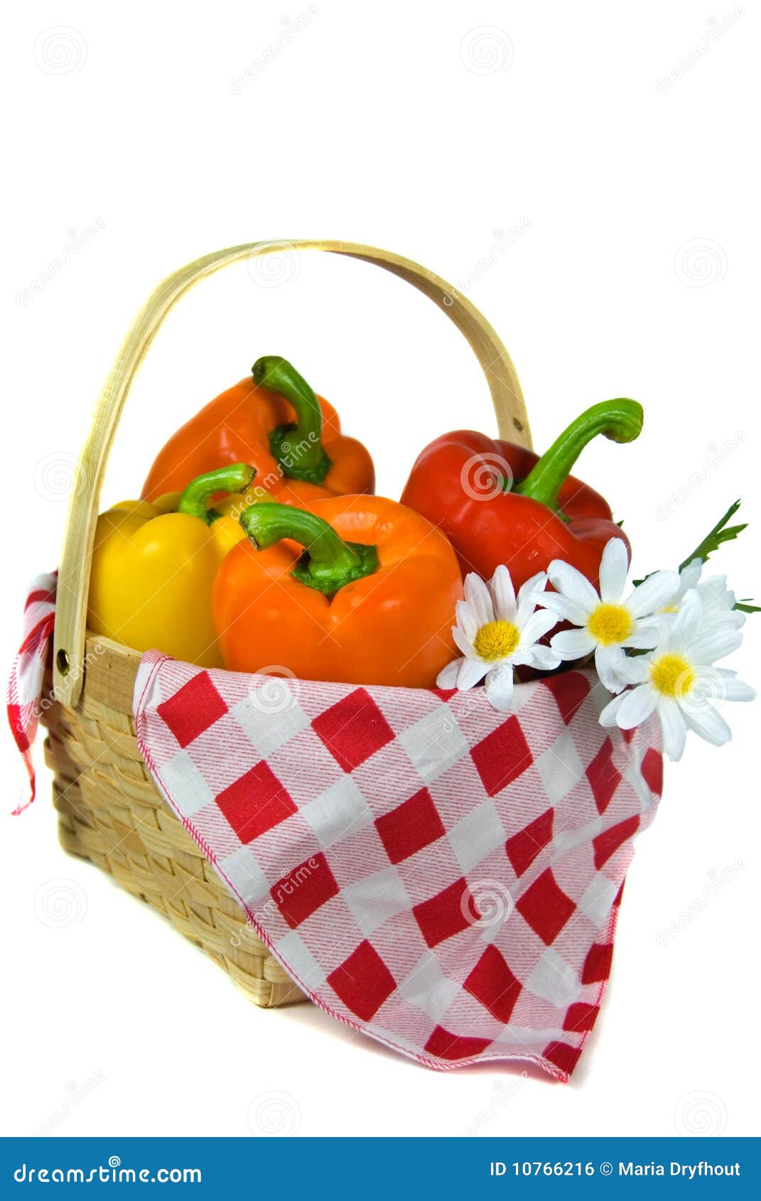 Pepper Basket stock photo. Image of pretty, bold, daisy - 10766216
