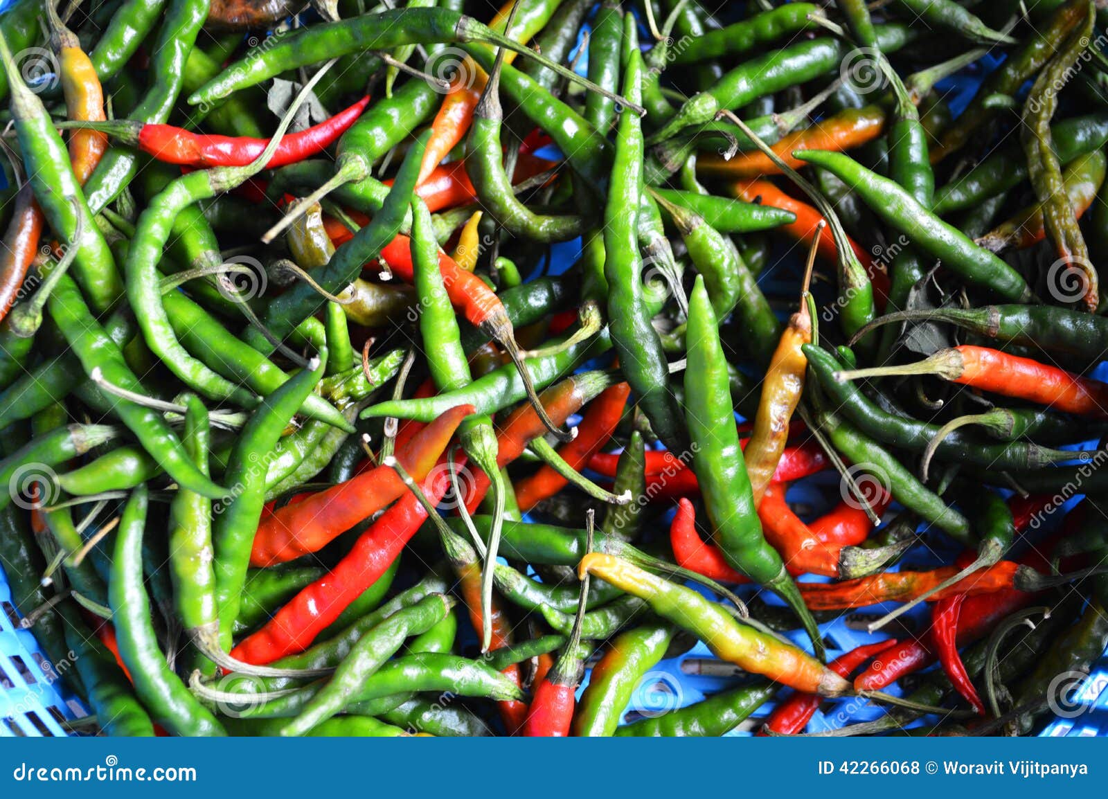 Pepper in basket in market stock photo. Image of healthy - 42266068
