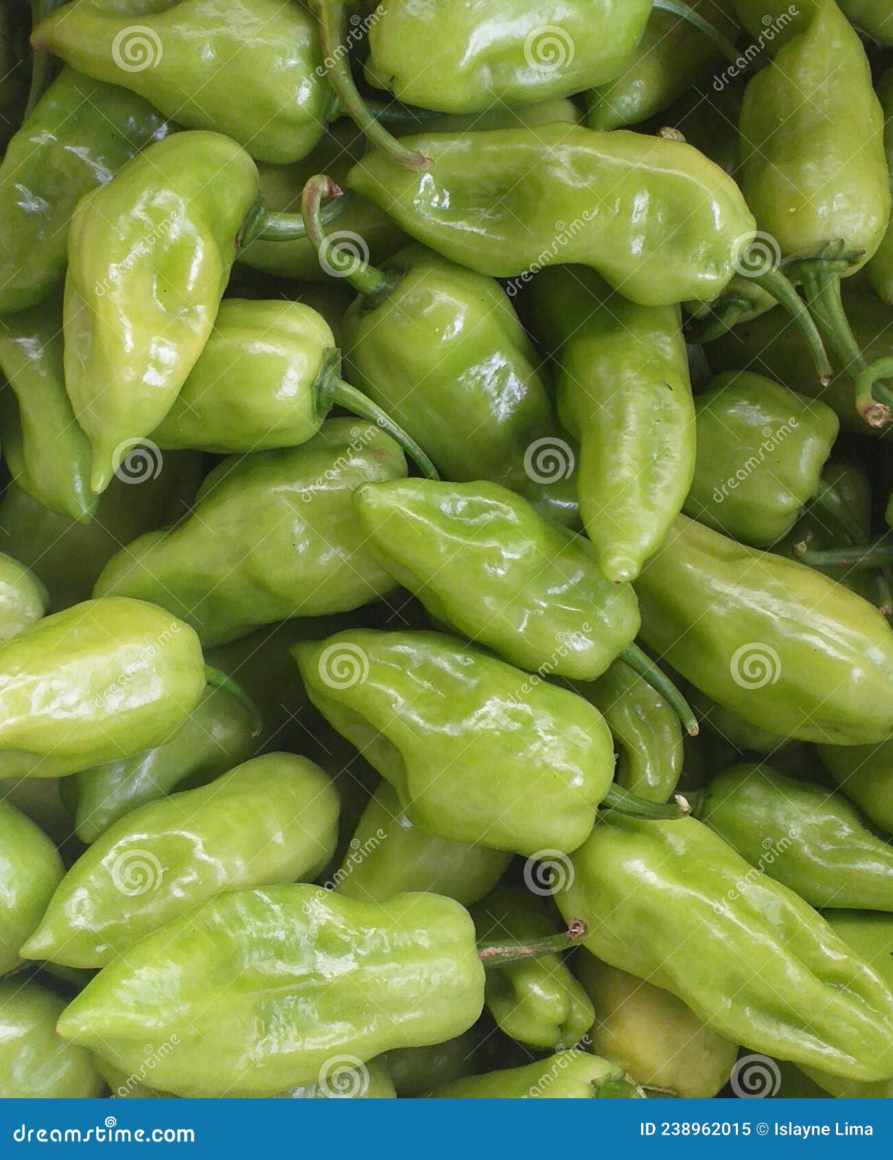 Pimenta Verde Stock Photos - Free & Royalty-Free Stock Photos from Dreamstime