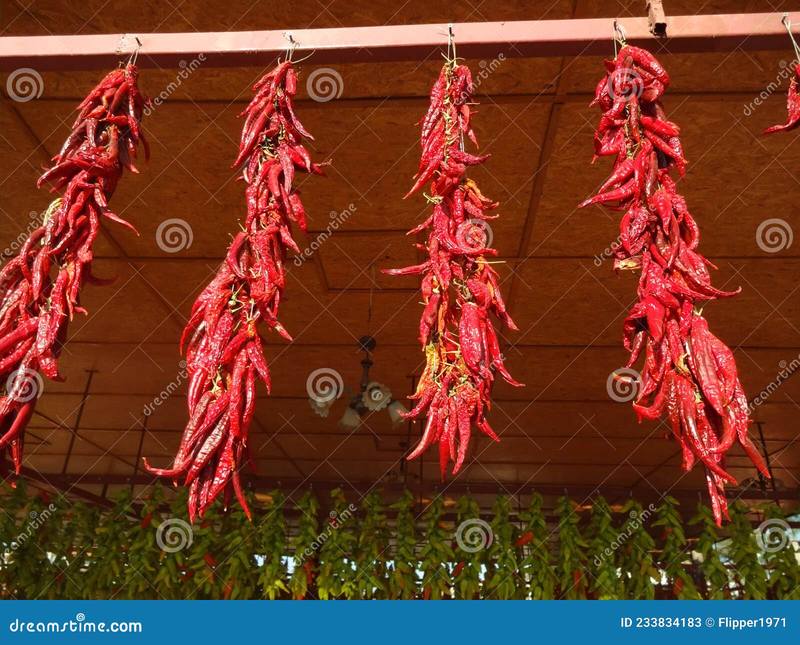 Pepper Bunches Dry Under Canopy Stock Image - Image of bunch, dark ...