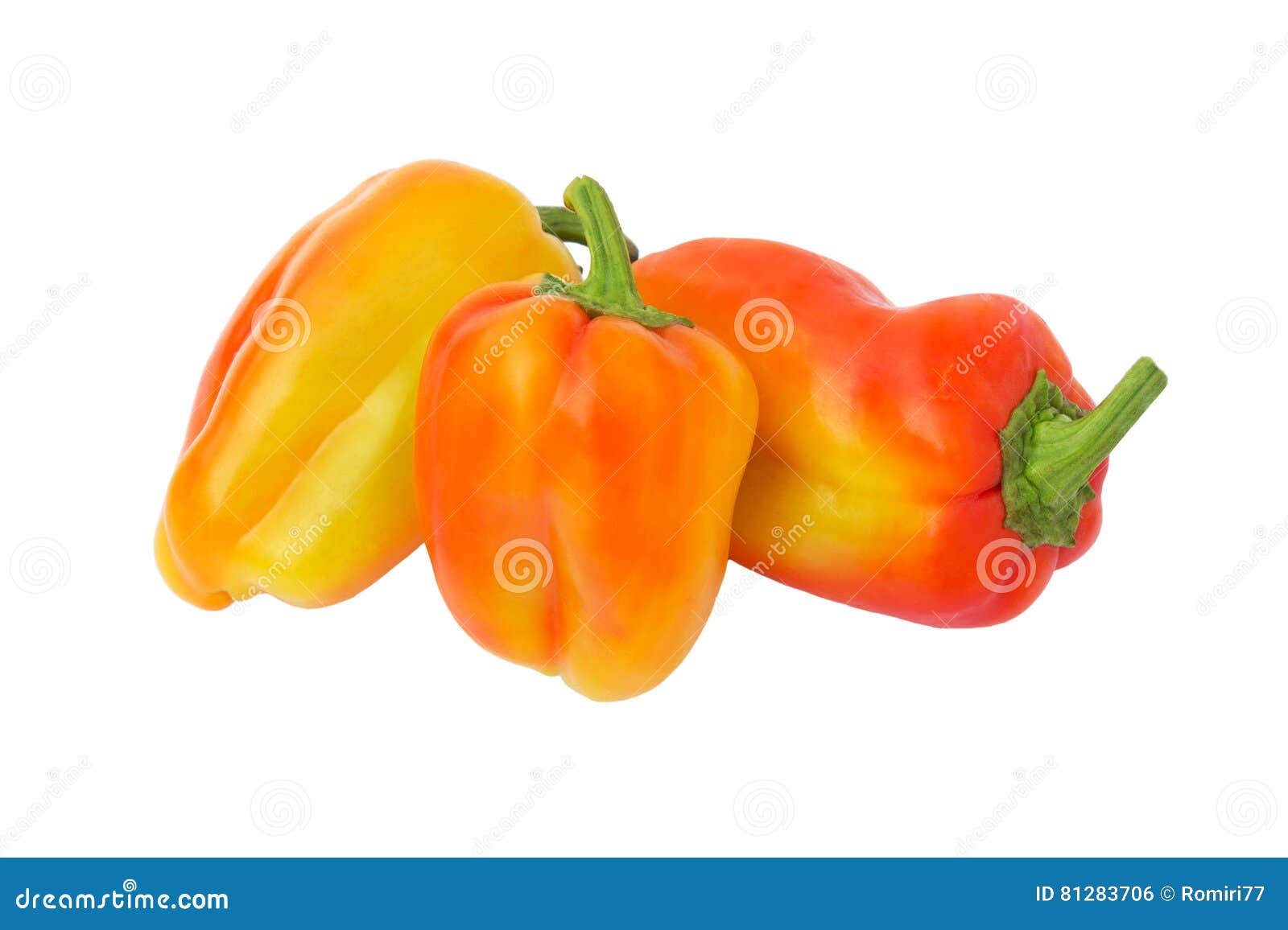 Pepper. Capsicum colored. stock photo. Image of paprika - 81283706