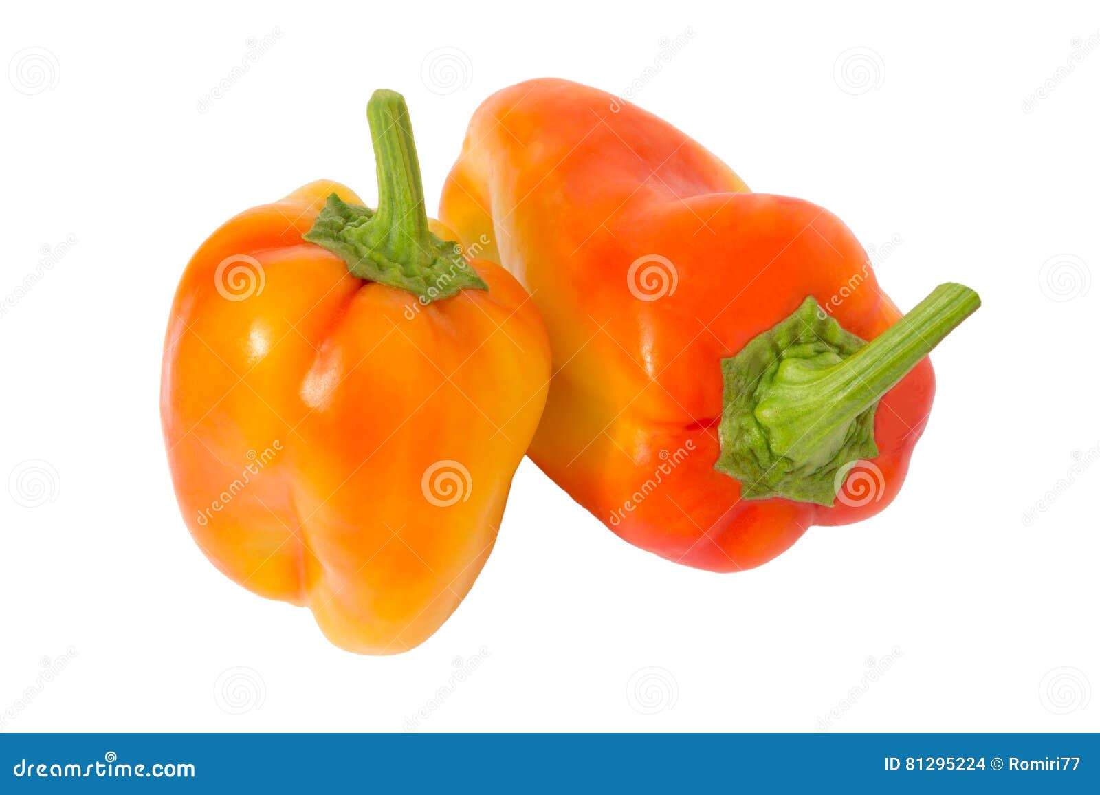 Pepper. Capsicum colored. stock photo. Image of still - 81295224