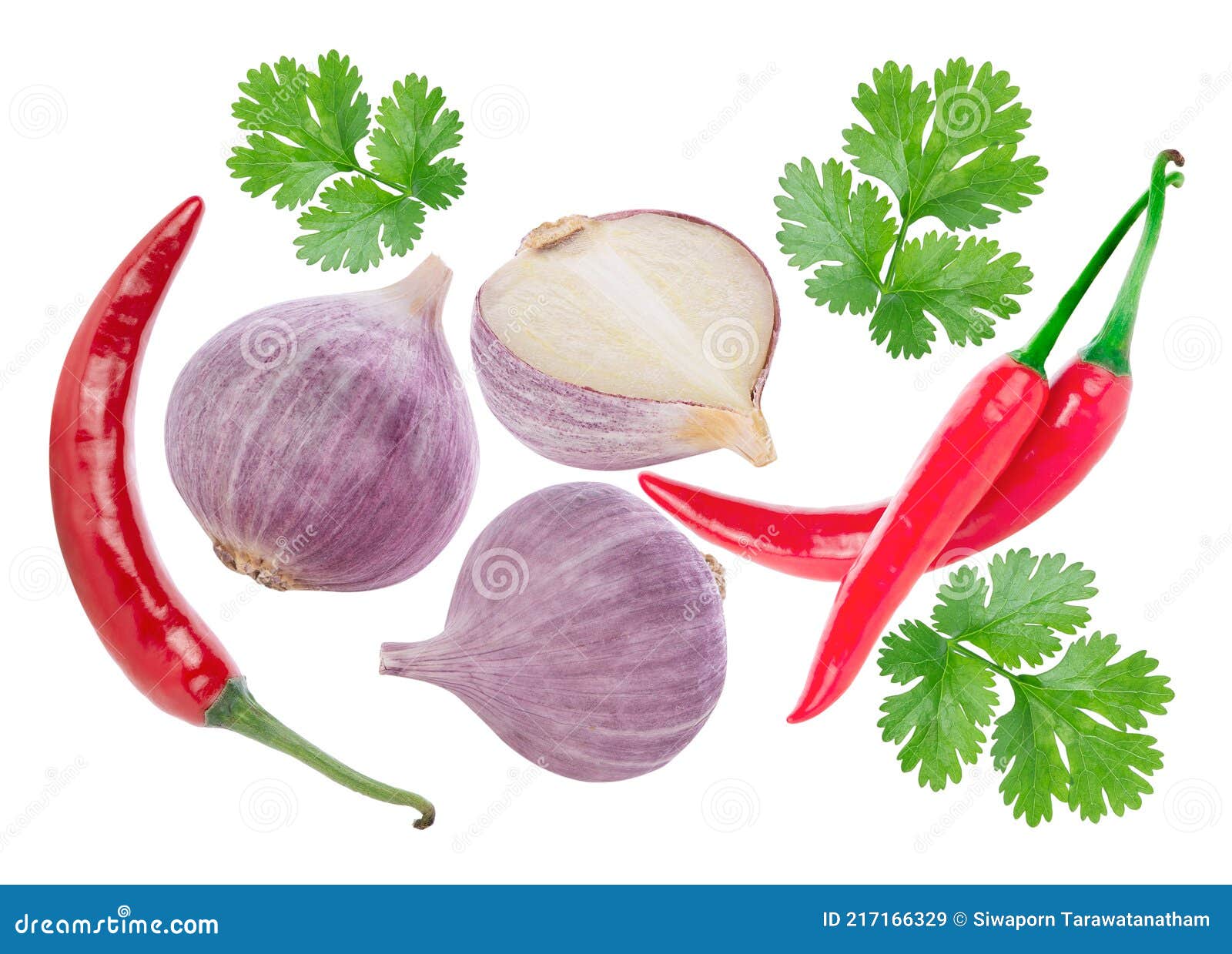 Pepper Garlic and Coriander Leaves Isolated on White Stock Image ...