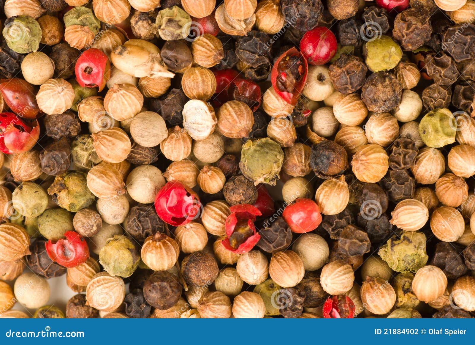 Pepper grains stock photo. Image of white, aromatic, pepper - 21884902