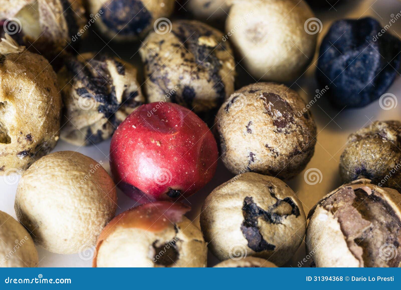 Pepper grains stock photo. Image of healthy, ingredient - 31394368