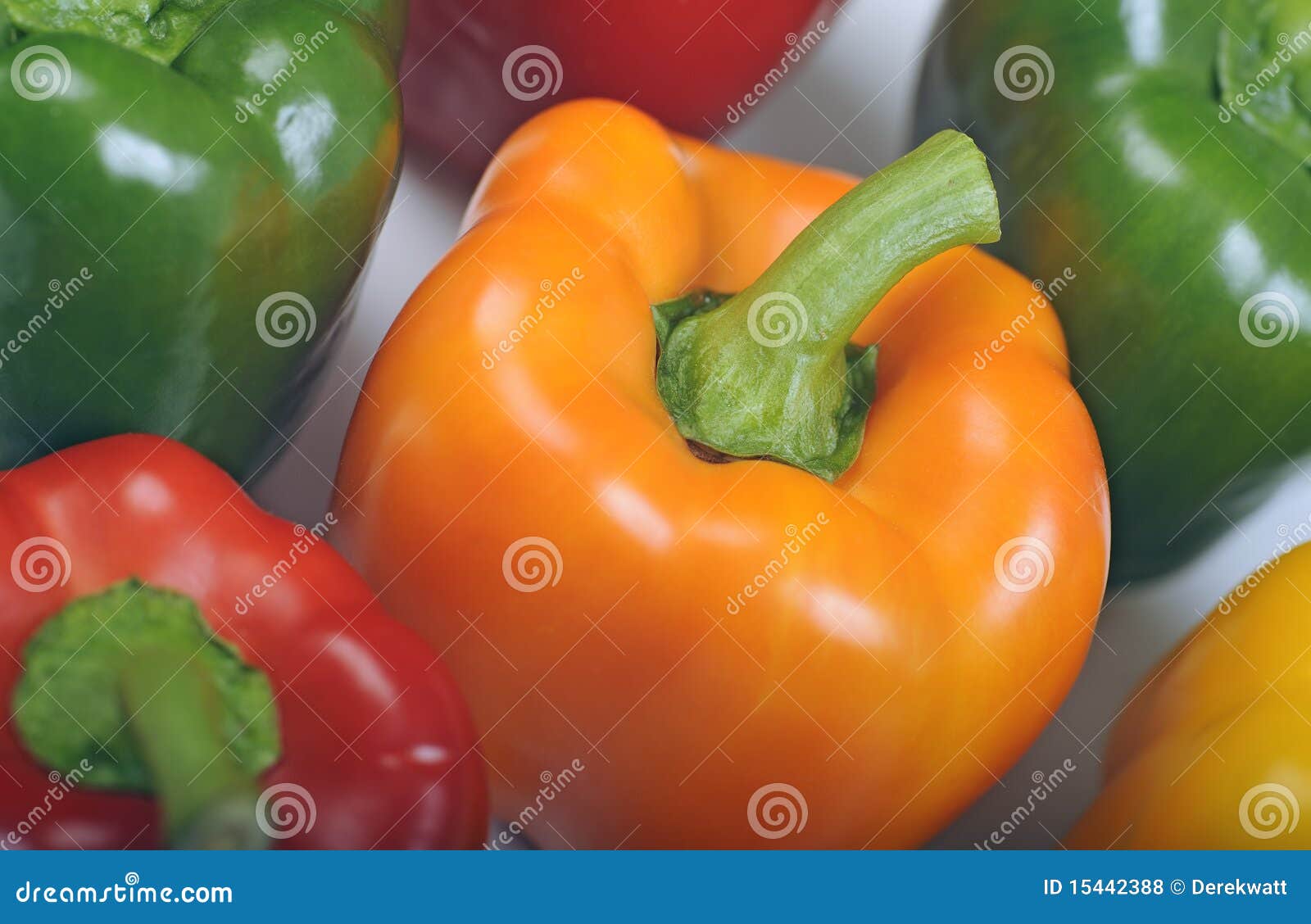 Pepper group stock photo. Image of succulent, vegetables - 15442388