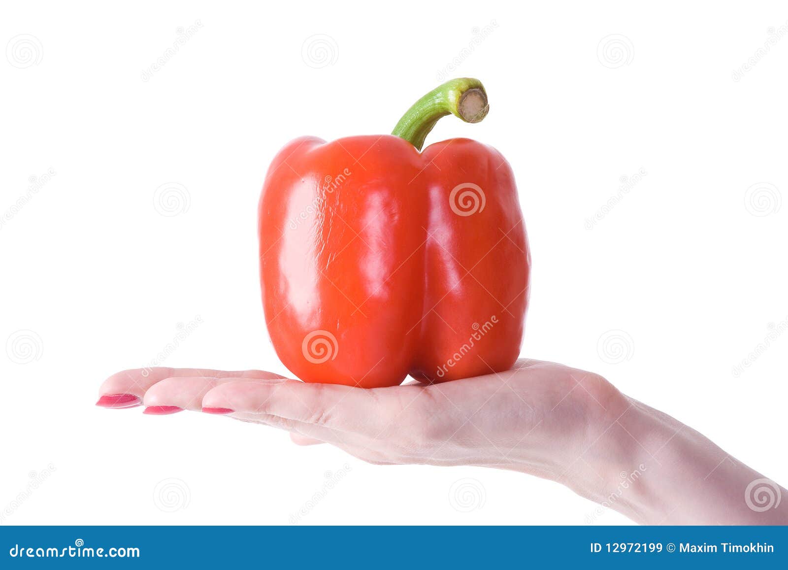 Pepper in hand stock image. Image of garden, isolated - 12972199