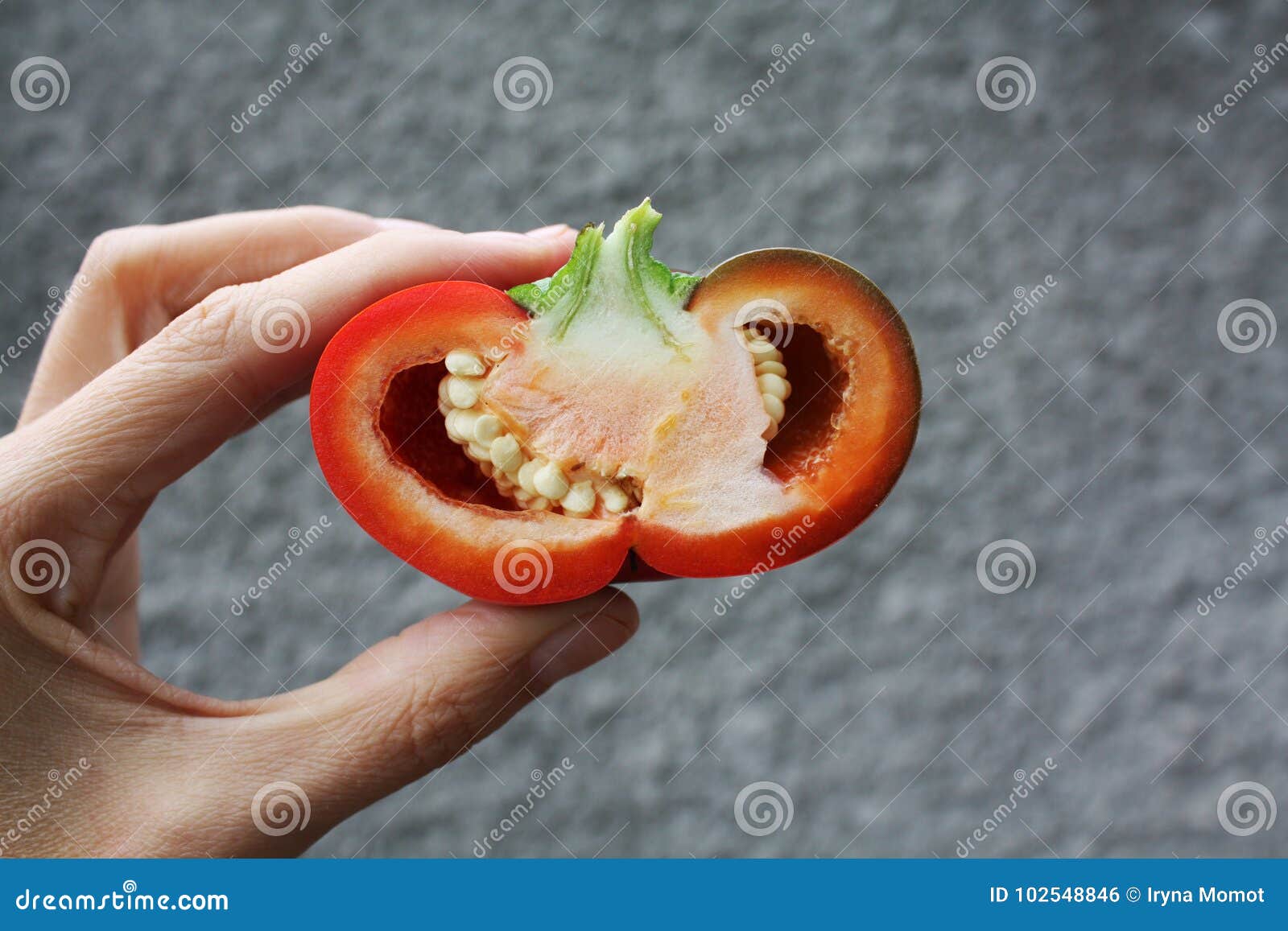 Pepper in hand stock photo. Image of isolated, fruit - 102548846