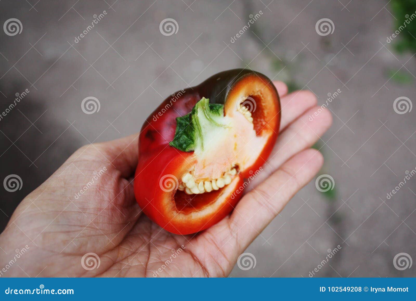 Pepper in hand stock photo. Image of cooking, isolated - 102549208