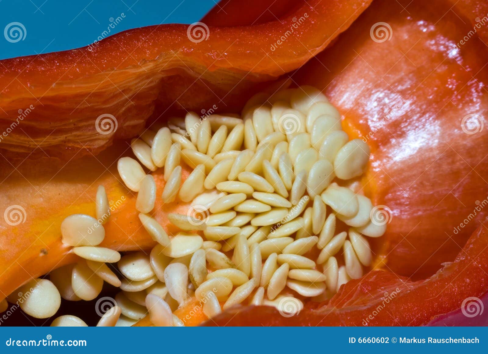 Pepper inside stock photo. Image of diet, vitamins, food - 6660602