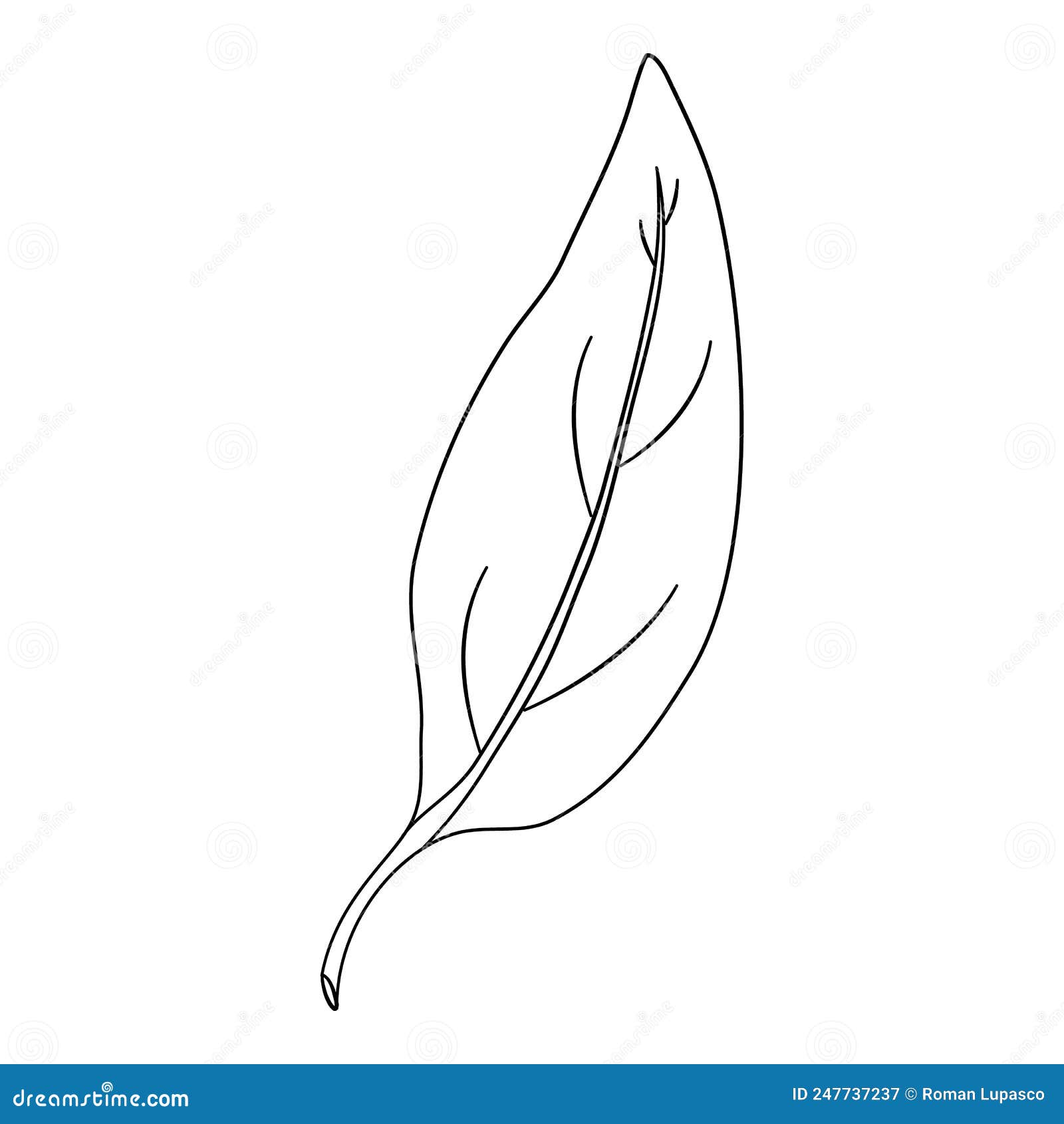 Pepper Leaf Icon Outline, Hand Drawn Vector. Green Spicy Stock Vector ...
