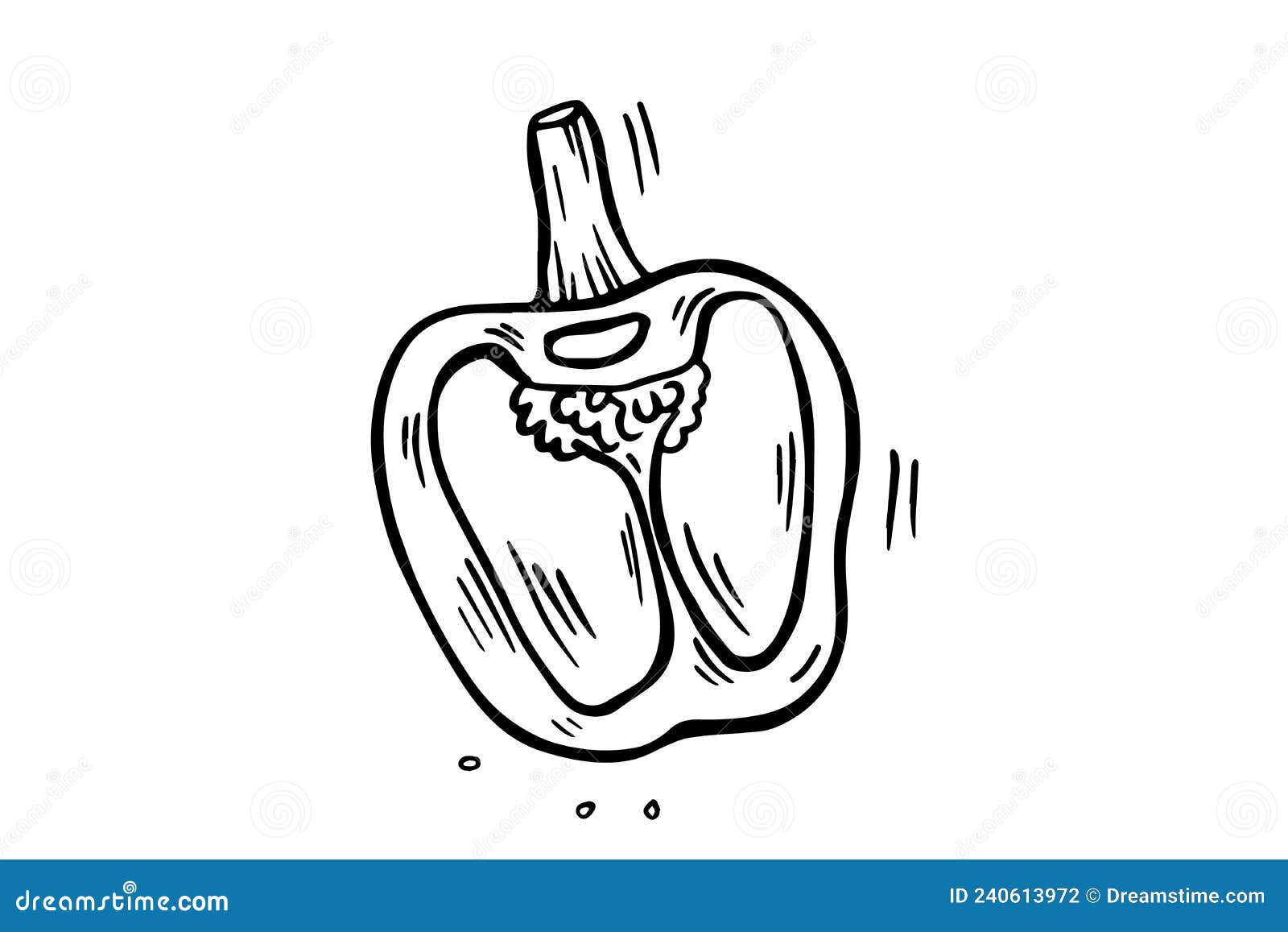Pepper in the Section Drawn with a Black Outline. Vector Graphics Stock ...