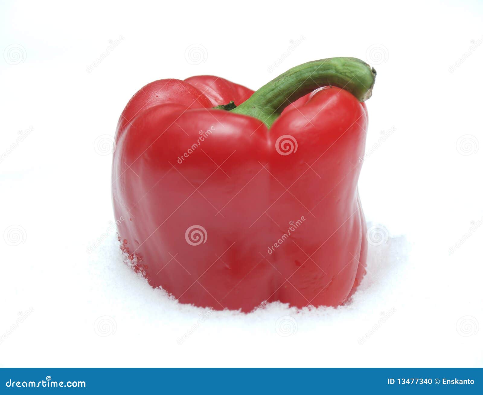 Pepper in a snow stock photo. Image of meal, vegetable - 13477340
