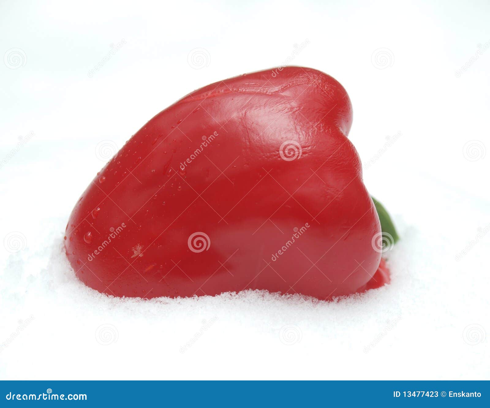 Pepper in a snow stock image. Image of meal, vegetable - 13477423