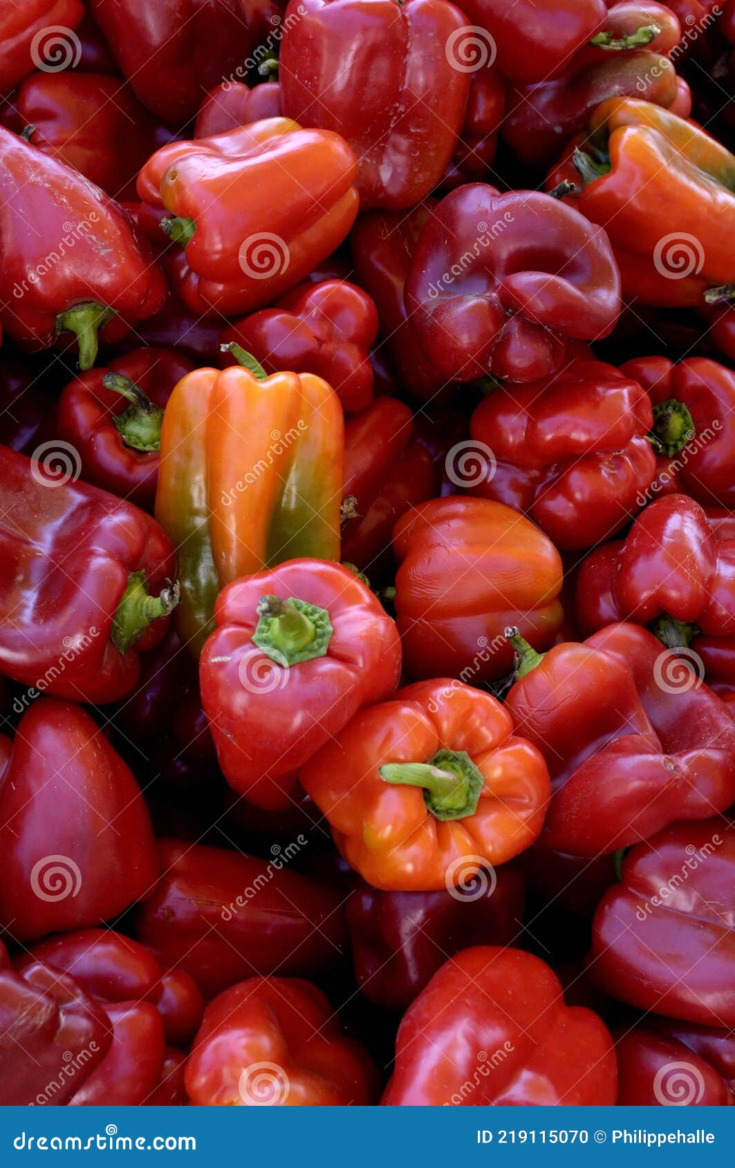 Close up of pepper stock photo. Image of greengrocer - 219115070