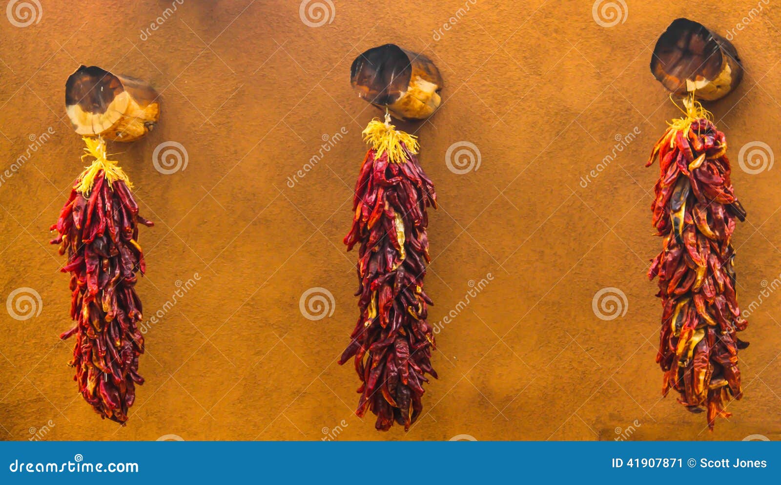 Pepper Strings stock image. Image of spicy, santa, mexico - 41907871