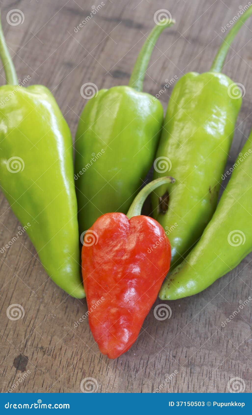 Pepper on table stock image. Image of chilli, market - 37150503