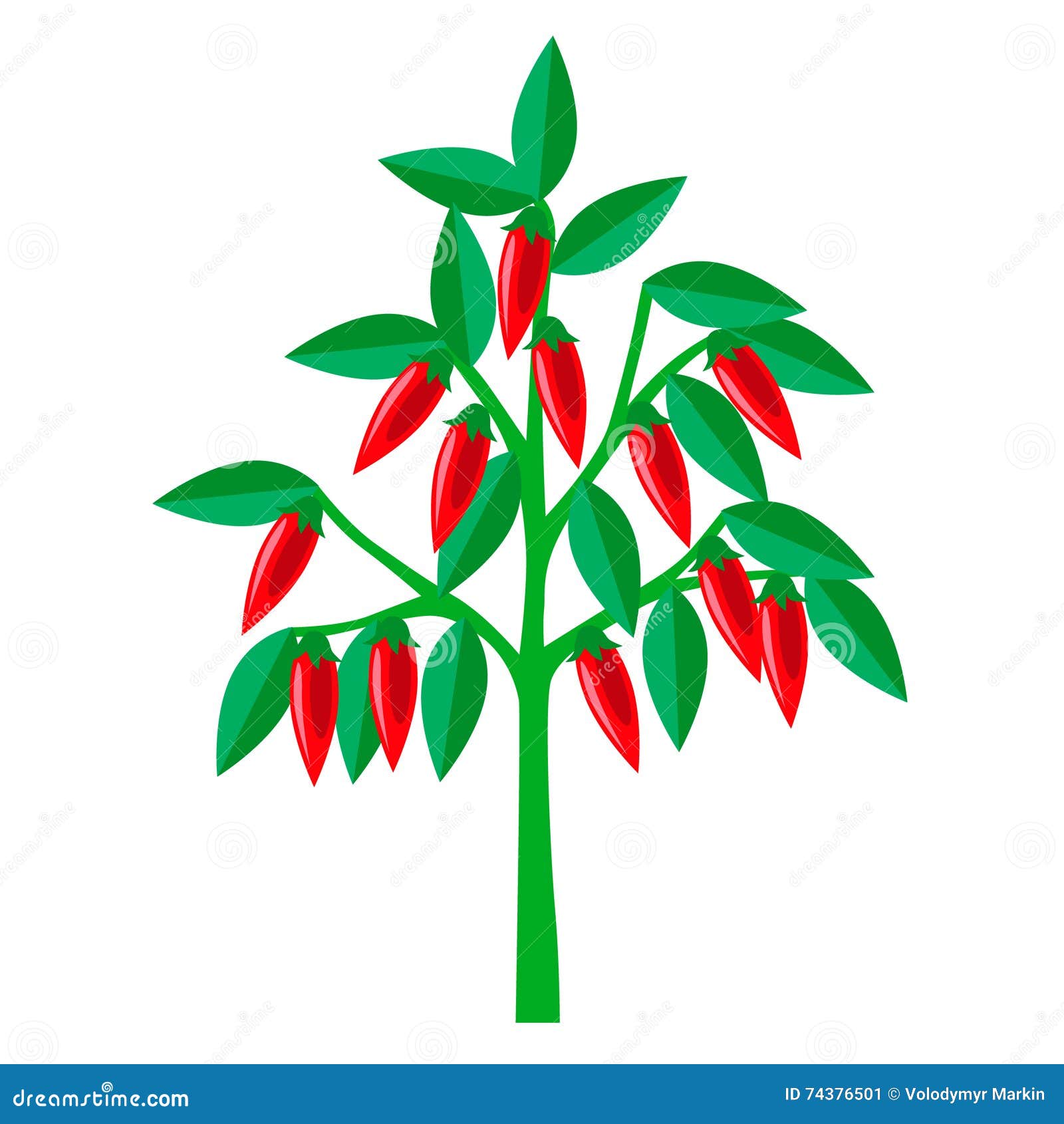 Pepper Tree. Vector Illustration Stock Vector - Illustration of menu ...