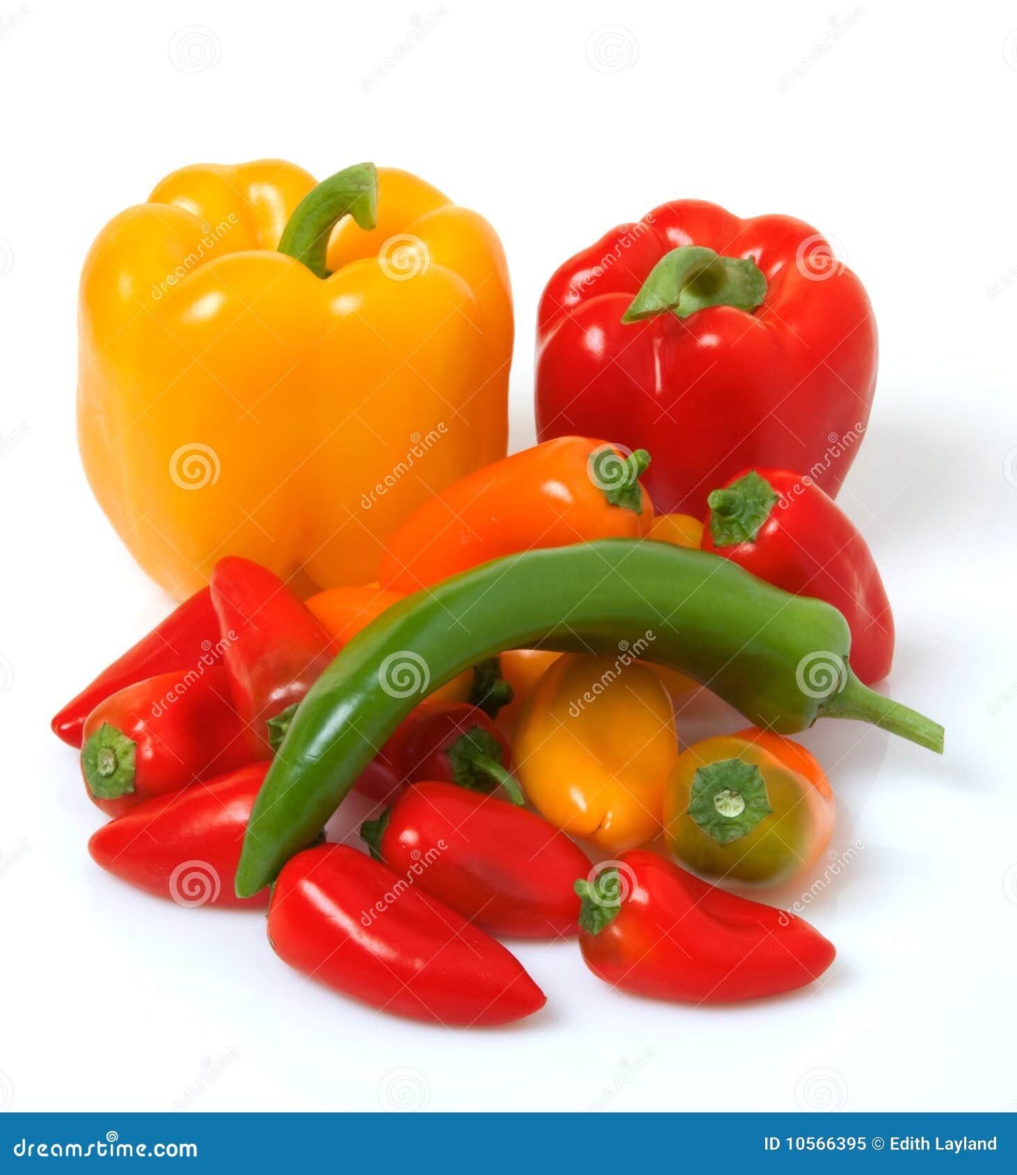 Pepper Variety stock image. Image of delicious, produce - 10566395