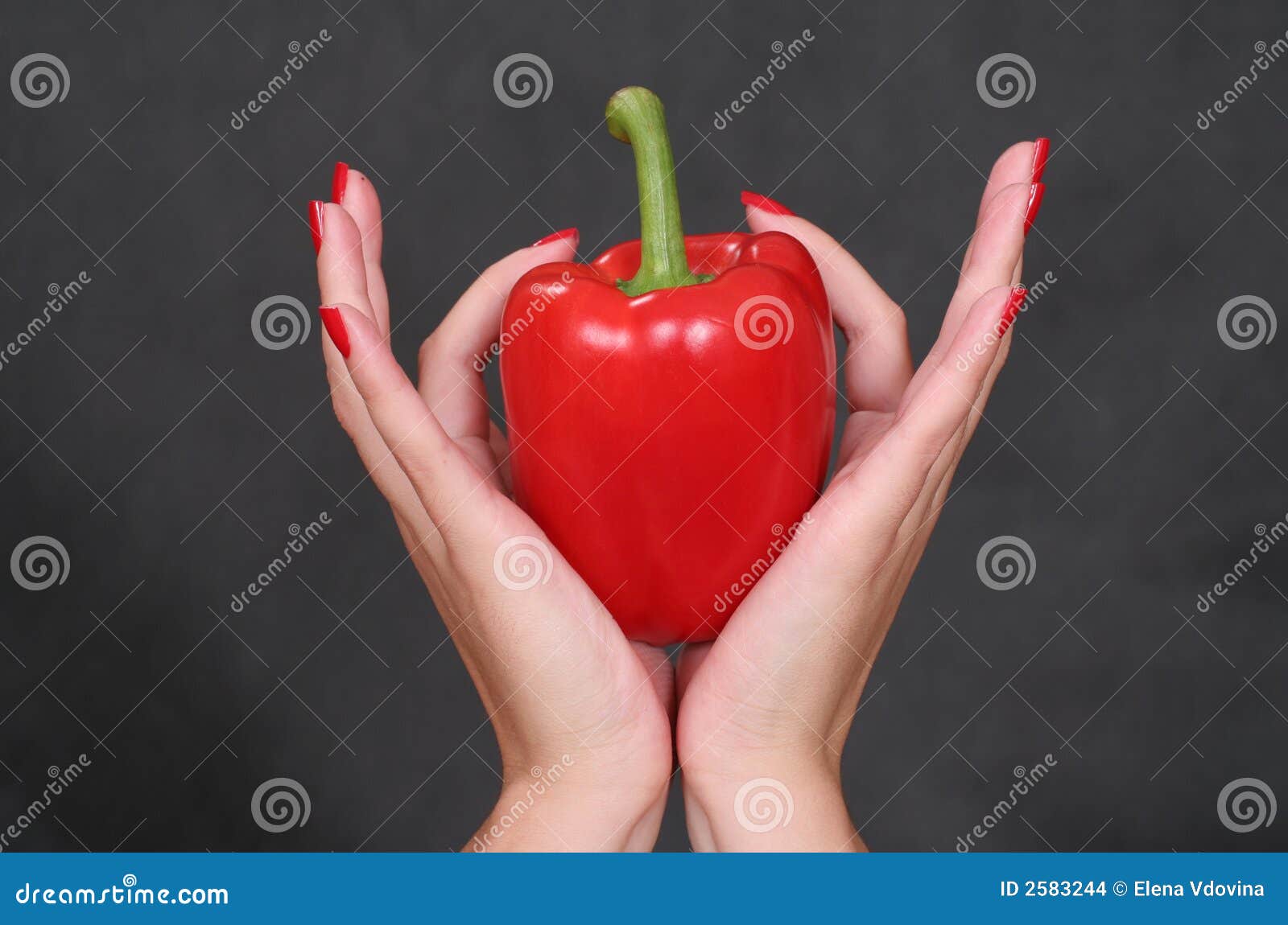 Pepper in the woman s hand stock photo. Image of holding - 2583244