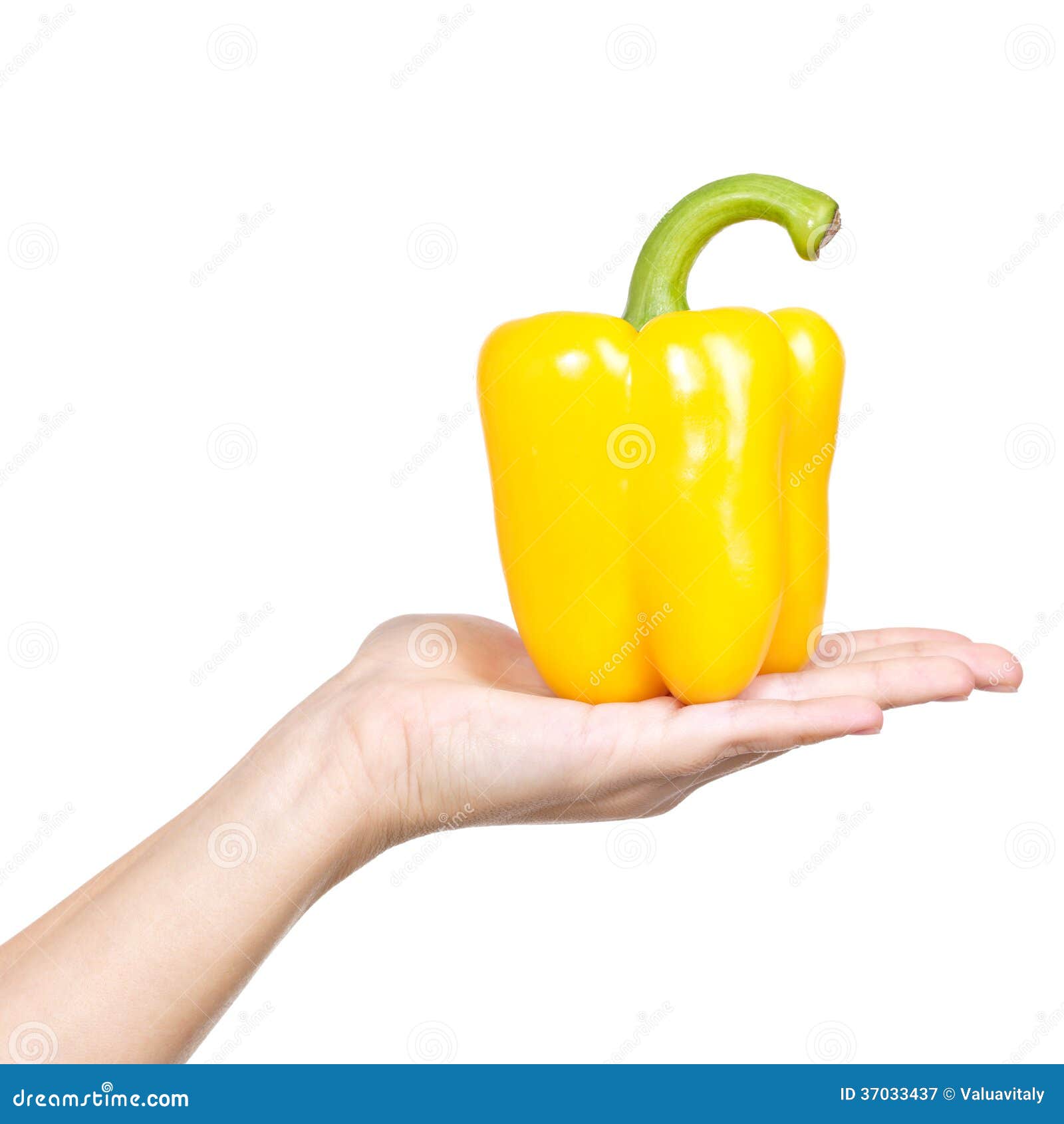 Pepper in a woman s hand stock image. Image of vegetables - 37033437