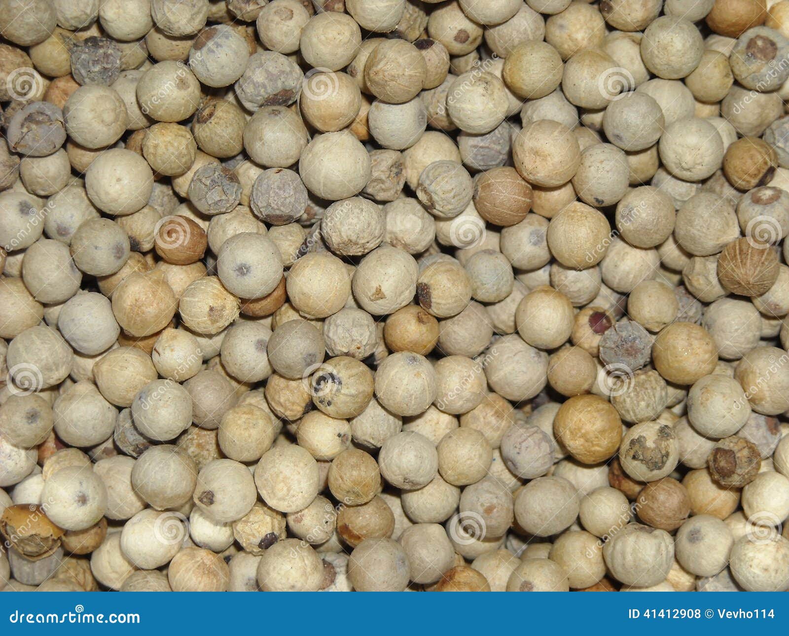 Piper Albi Photos - Free & Royalty-Free Stock Photos from Dreamstime