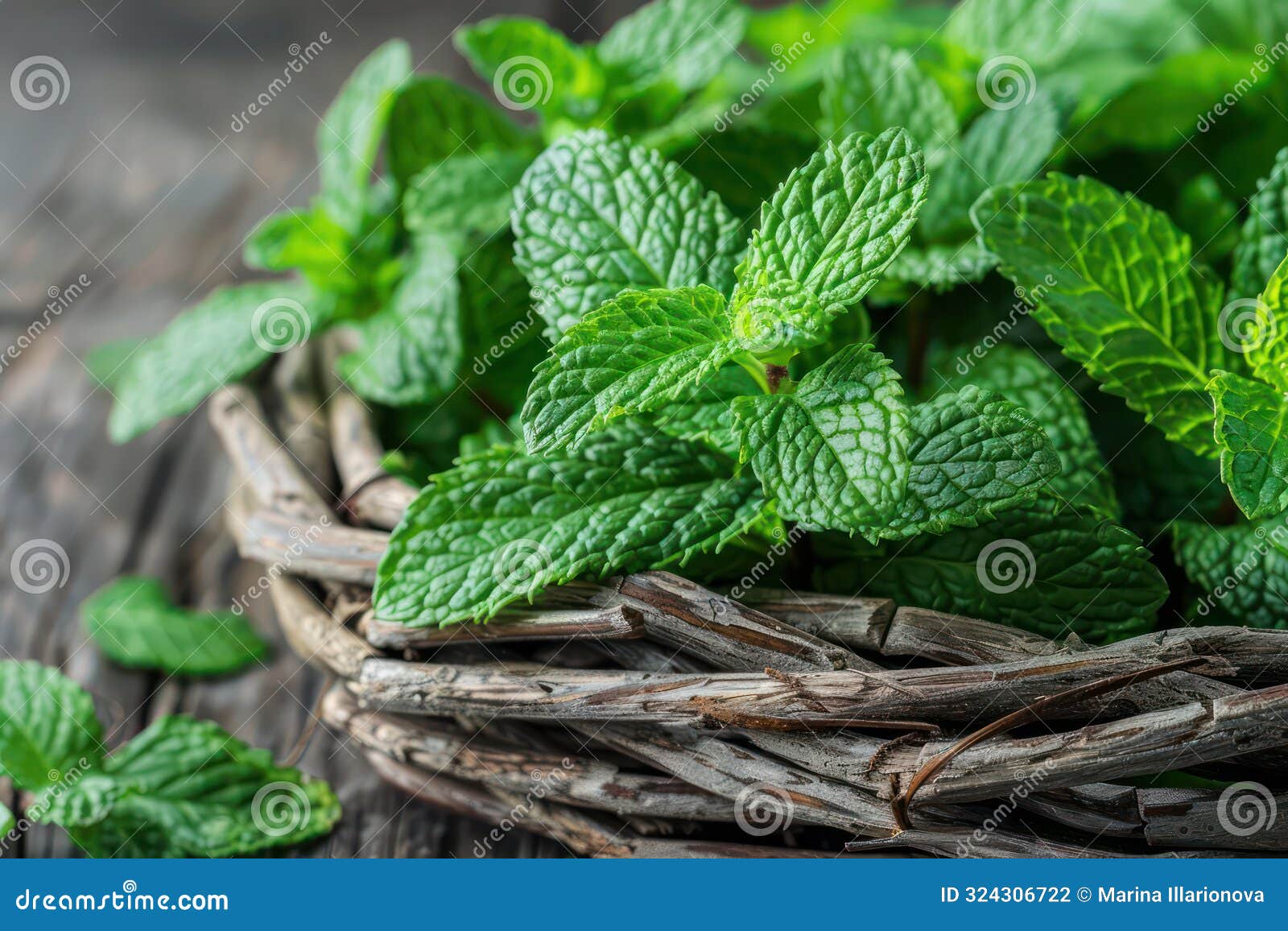 Peppermint in Basket Closeup, Green Abstract Summer Background ...