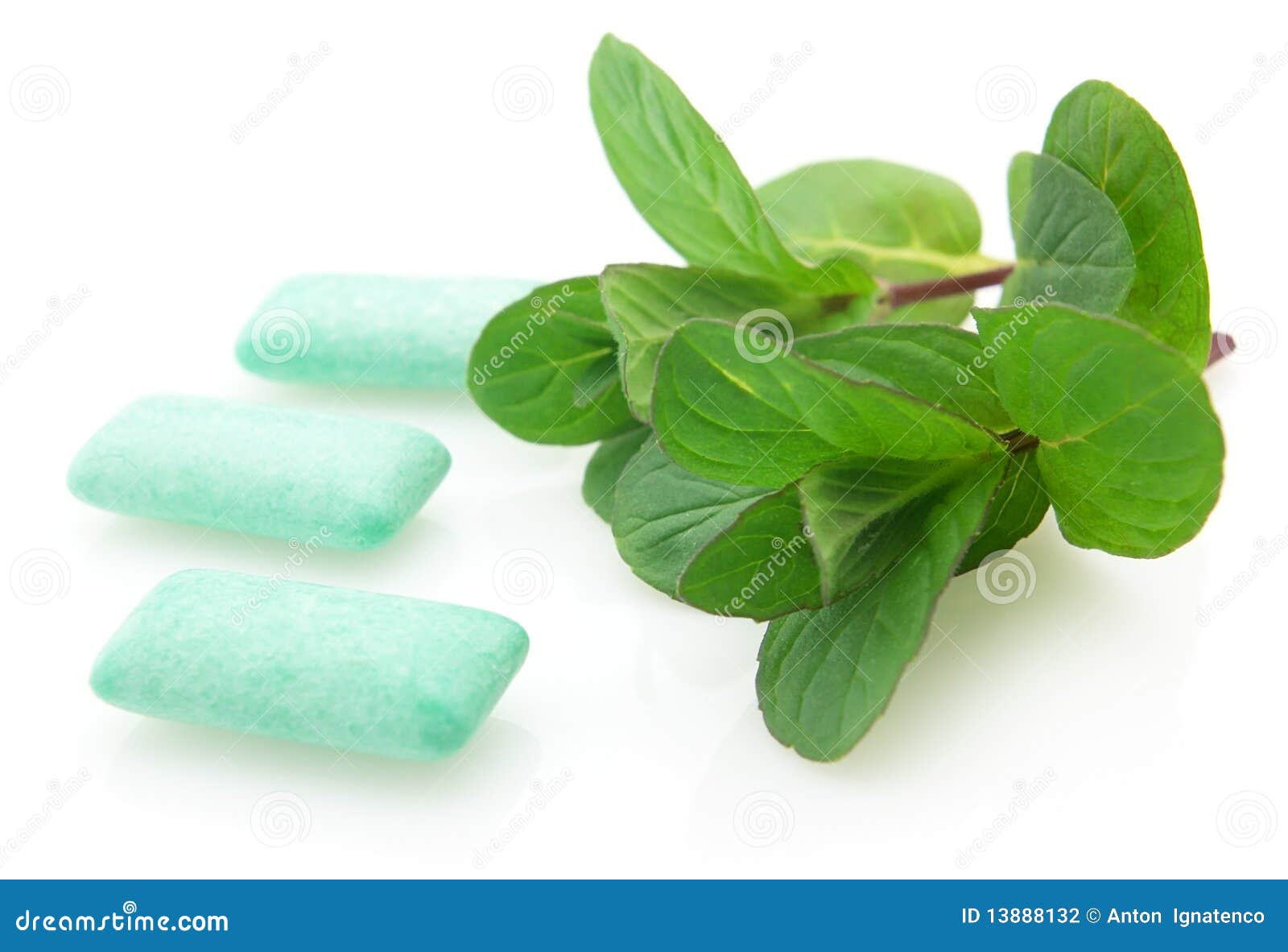 Peppermint with Chewing Gum Stock Photo - Image of nature, spice: 13888132