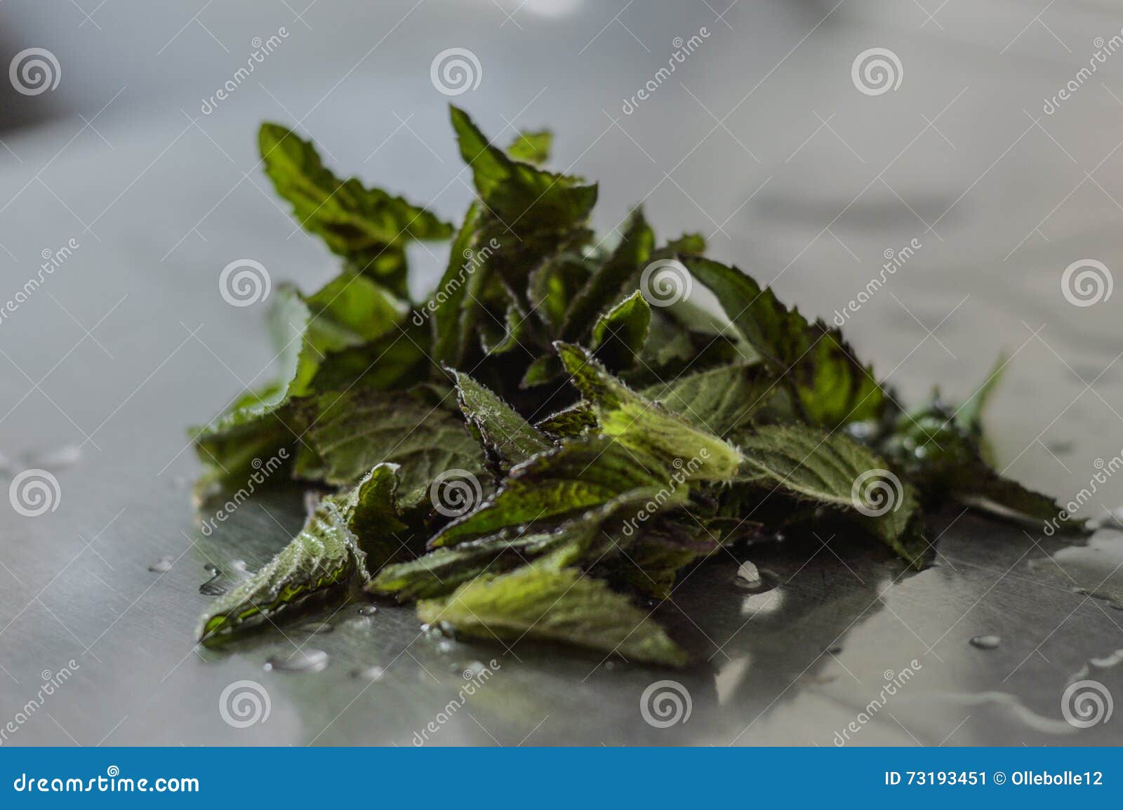 Peppermint Herbs Ready for Cooking! Stock Image - Image of foliage ...