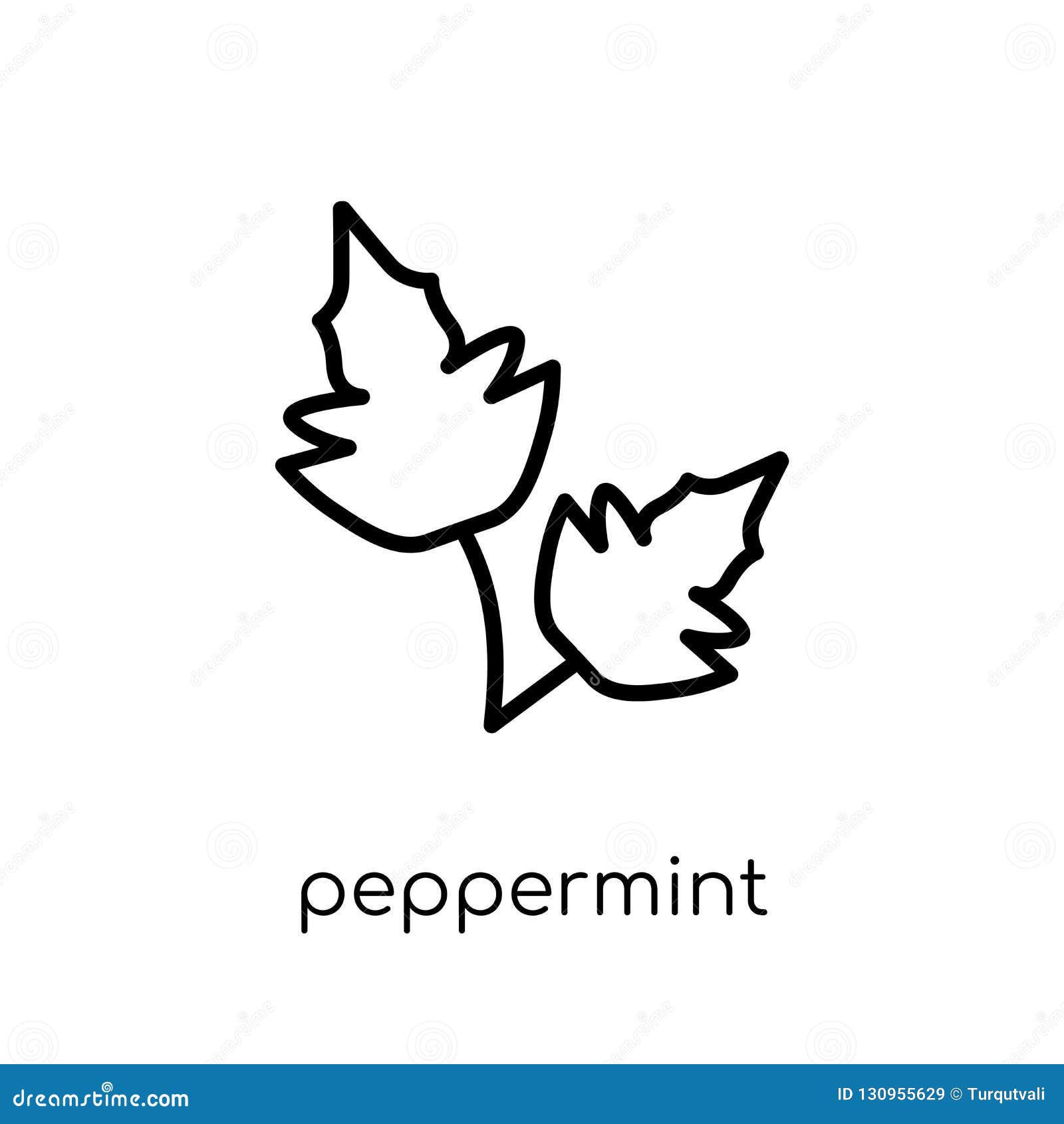 Peppermint Icon. Trendy Modern Flat Linear Vector Peppermint Icon on ...