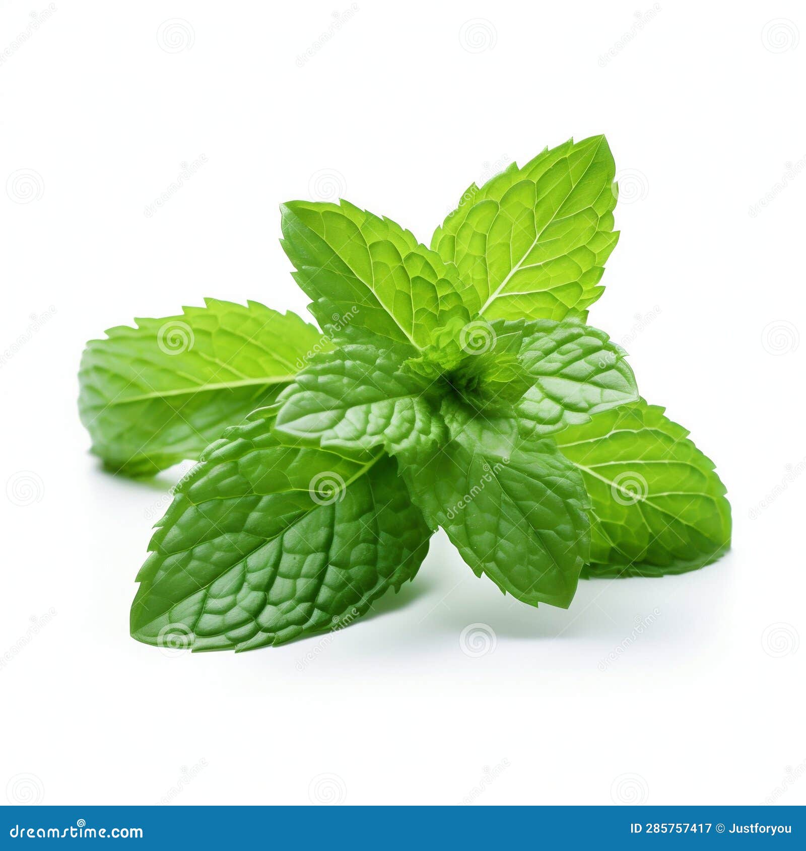 Peppermint Isolated on White Background. Generative Ai Stock ...