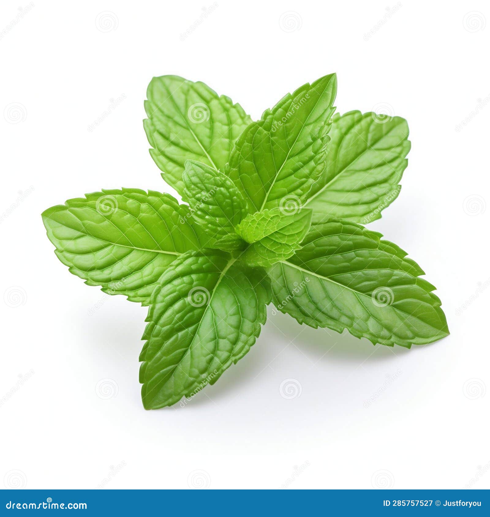 Peppermint Isolated on White Background. Generative Ai Stock ...