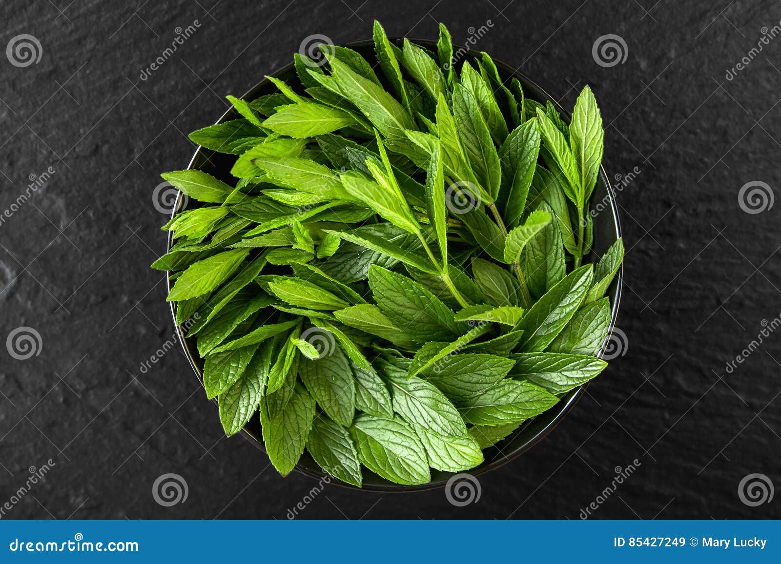 Peppermint. Juicy, Fresh, Aromatic Green Mint Stock Image - Image of ...